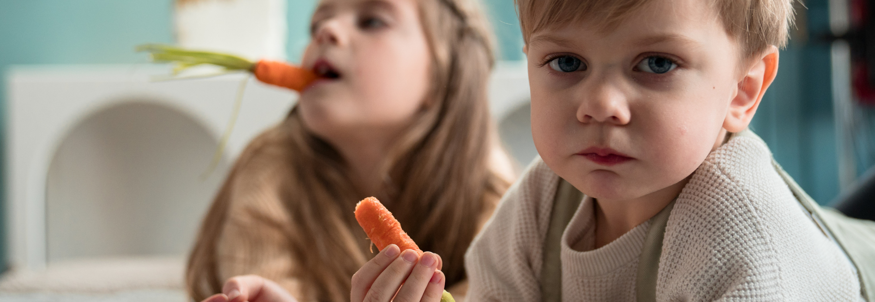 5 Ways to Add Carrots to Your Kid’s Lunch Boxes – Teuko Blog