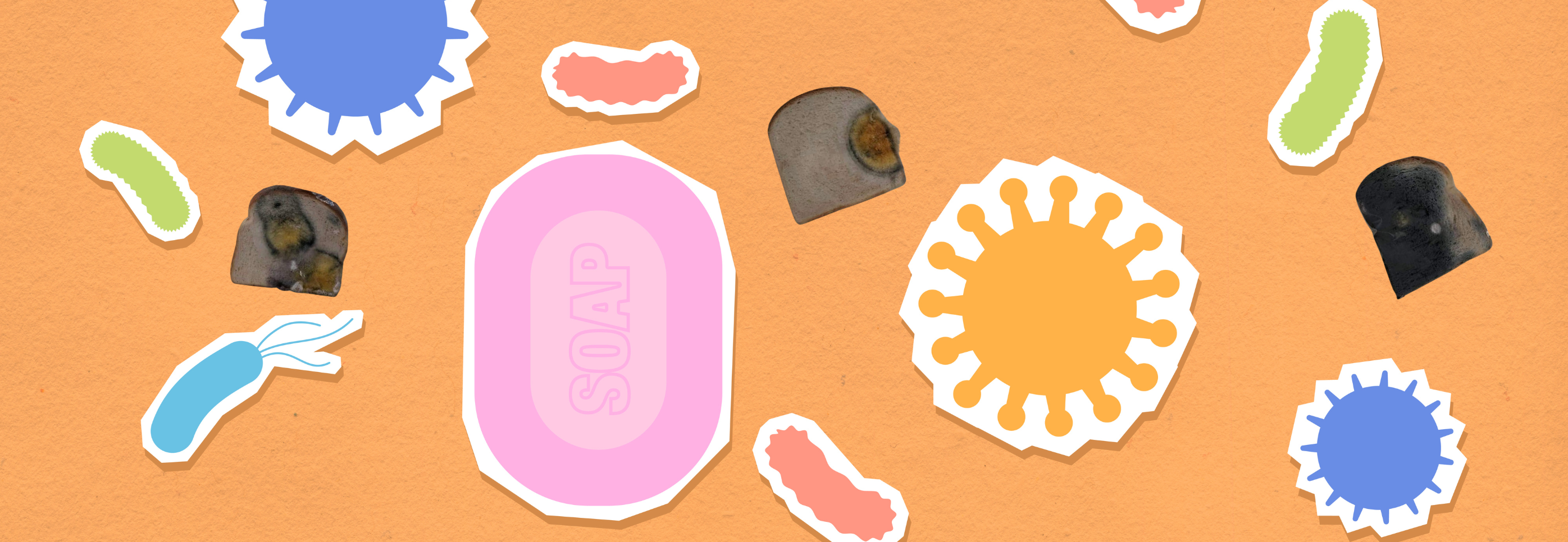 The Dirty Truth for Kids Eating Lunch at School: A Classroom Science ...